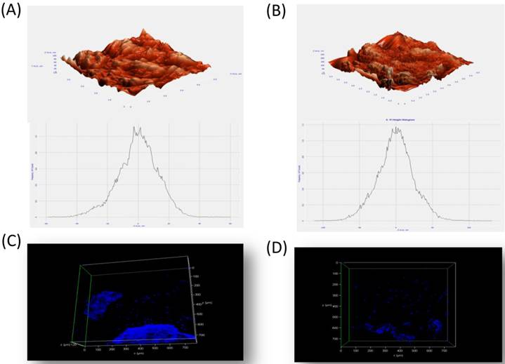 A Comparative Study on Morphochemical Properties and Osteogenic Cell ...
