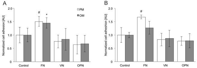 Distinct Effects of RGD-glycoproteins on Integrin-Mediated Adhesion and ...