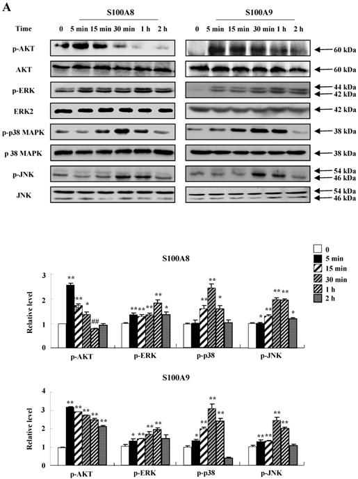 Suppressive effects of S100A8 and S100A9 on neutrophil apoptosis by ...