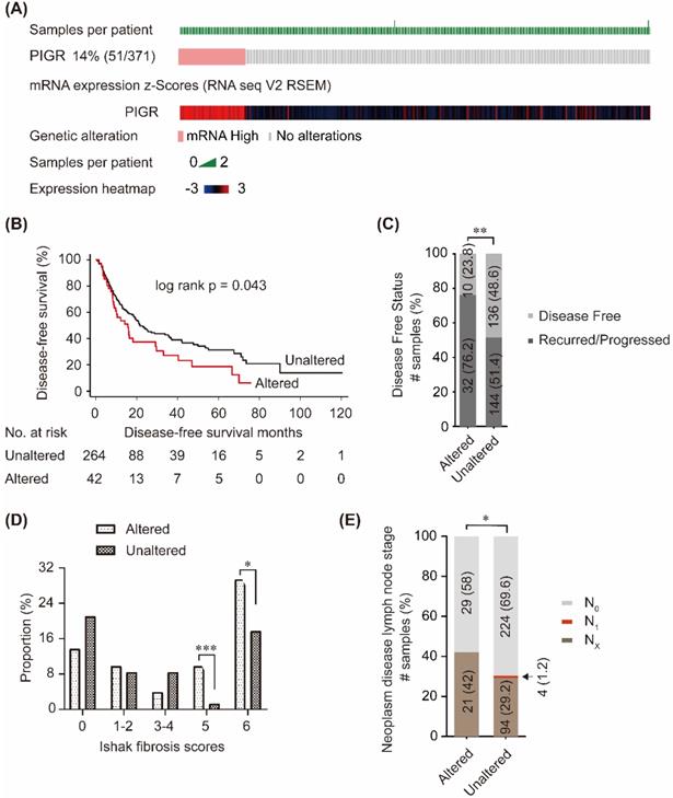 Polymeric immunoglobulin receptor (PIGR) exerts oncogenic functions via ...