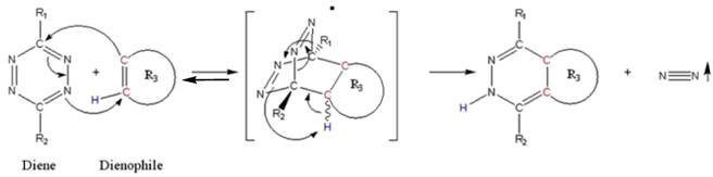 Diels Alder Mechanism Arrow Pushing