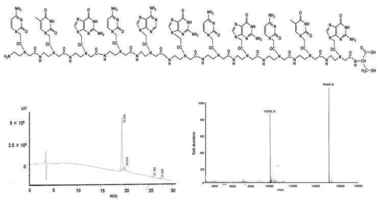 Improved Synthesis Strategy for Peptide Nucleic Acids (PNA) appropriate ...