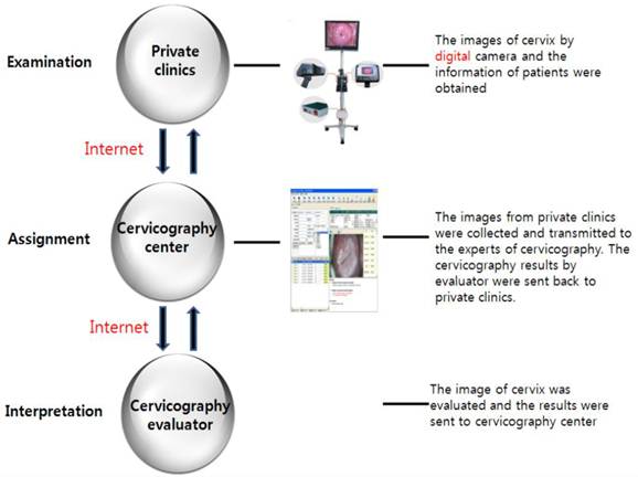 Correlation between the Digital Cervicography and Pathological ...