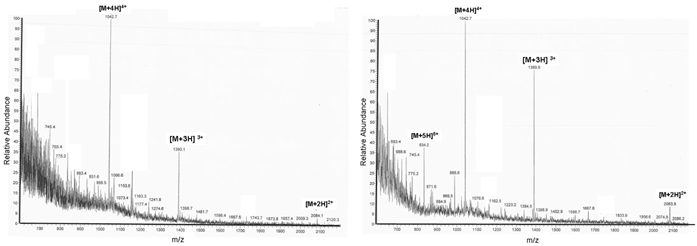 SPPS Resins Impact the PNA-Syntheses' Improvement