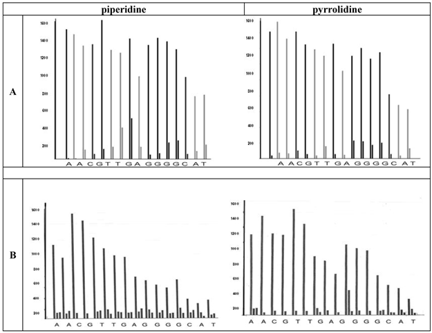 SPPS Resins Impact the PNA-Syntheses' Improvement