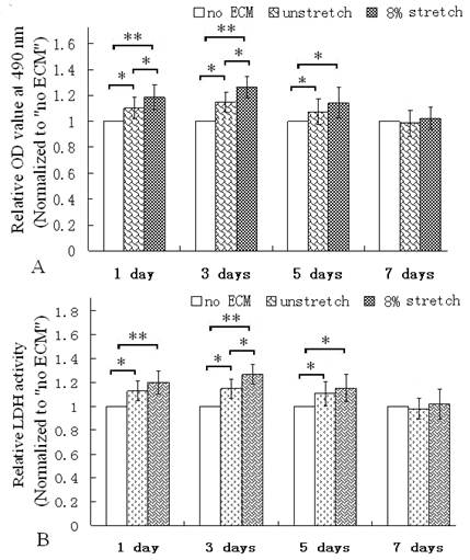 Extracellular Matrix of Mechanically Stretched Cardiac Fibroblasts ...