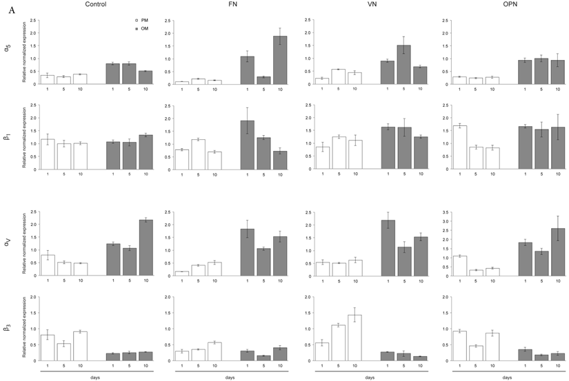 Distinct Effects of RGD-glycoproteins on Integrin-Mediated Adhesion and ...