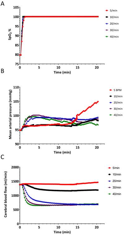 Preventing and Treating Hypoxia: Using a Physiology Simulator to ...