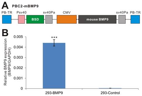 The Prodomain-Containing BMP9 Produced from a Stable Line Effectively ...