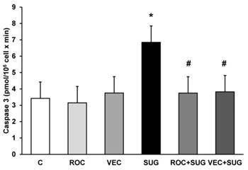 Neuronal Effects of Sugammadex in combination with Rocuronium or Vecuronium