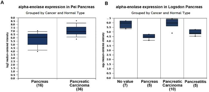 Over-Expression of Alpha-Enolase as a Prognostic Biomarker in Patients ...