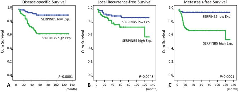 SERPINB5 Expression: Association with CCRT Response and Prognostic ...