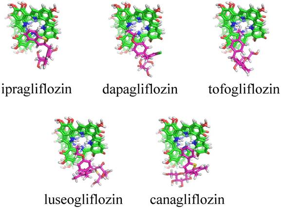 Susceptibility to serious skin and subcutaneous tissue disorders and ...