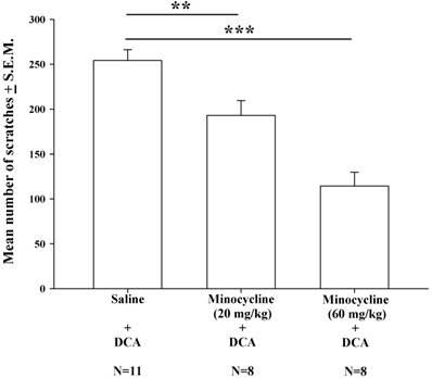 Manual acupuncture relieves bile acid-induced itch in mice: the role of ...