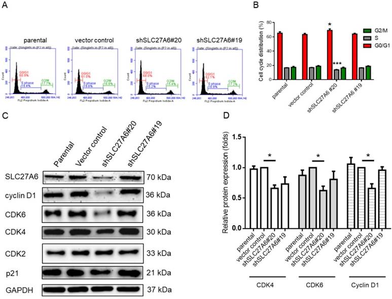 New Insight on Solute Carrier Family 27 Member 6 (SLC27A6) in Tumoral ...