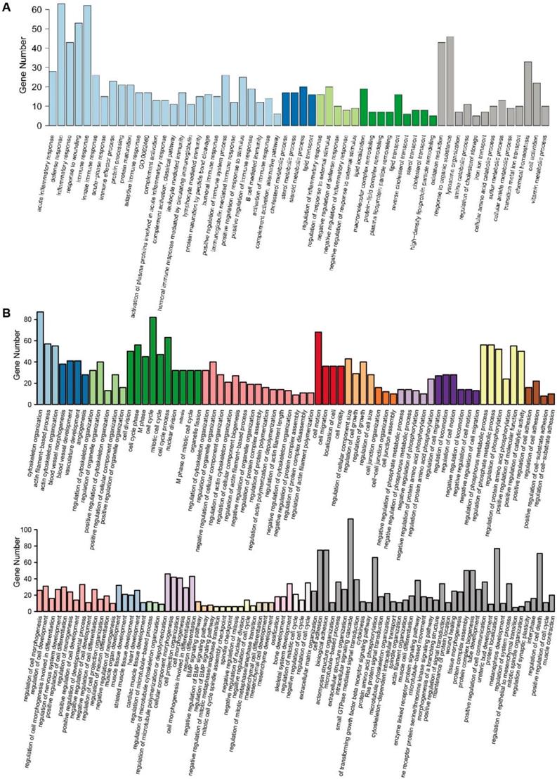 Transcriptome Profiling Reveals Distinct Phenotype of Human Bone Marrow ...