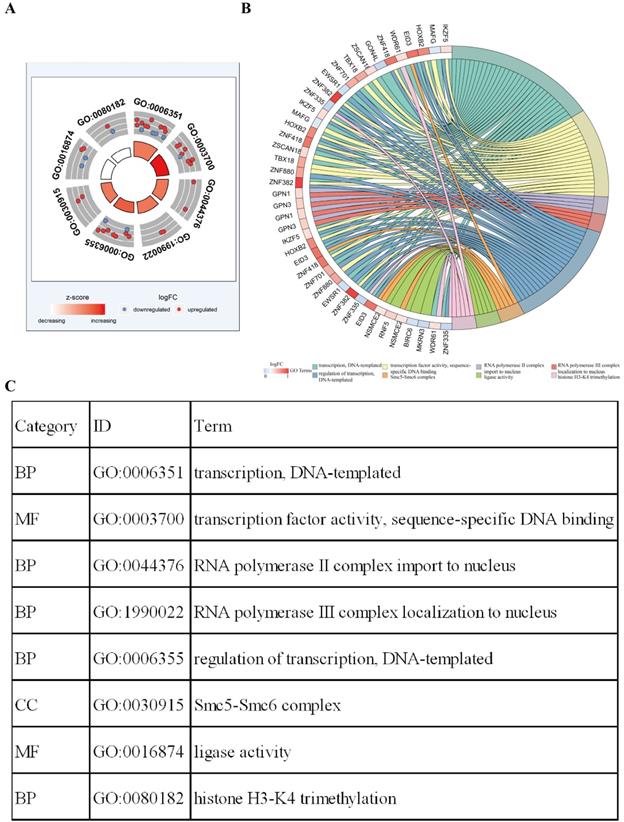 Integrative analysis of DNA methylation-driven genes for the prognosis ...