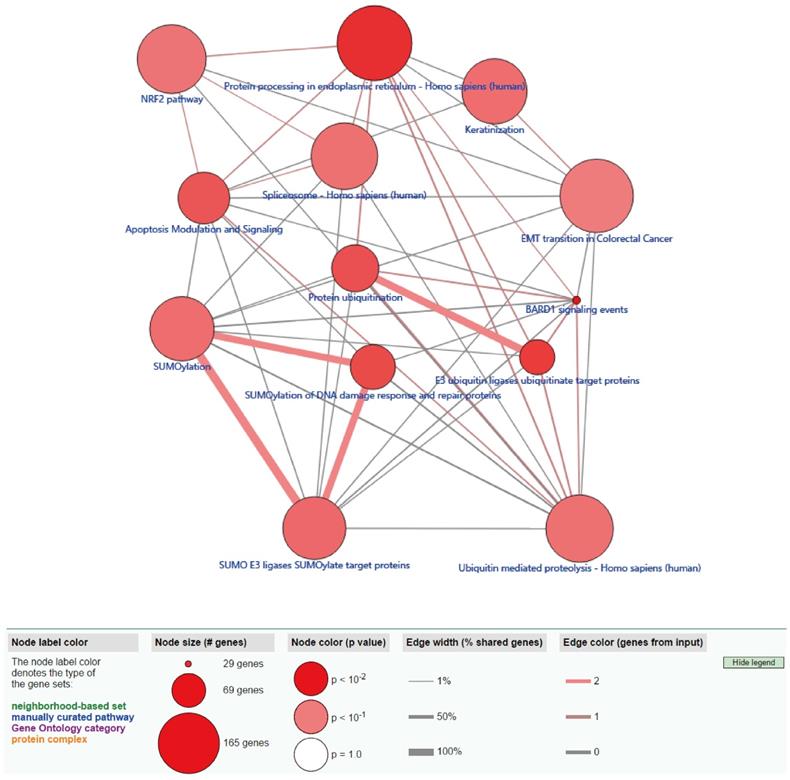 Integrative analysis of DNA methylation-driven genes for the prognosis ...