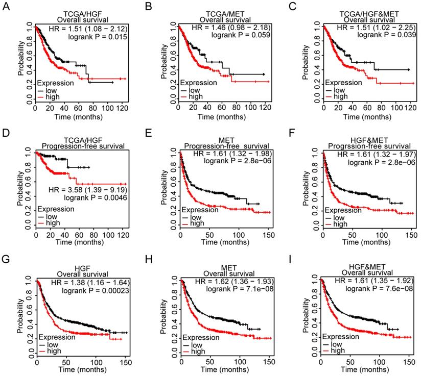 The prognostic value of HGF-c-MET signaling pathway in Gastric Cancer ...