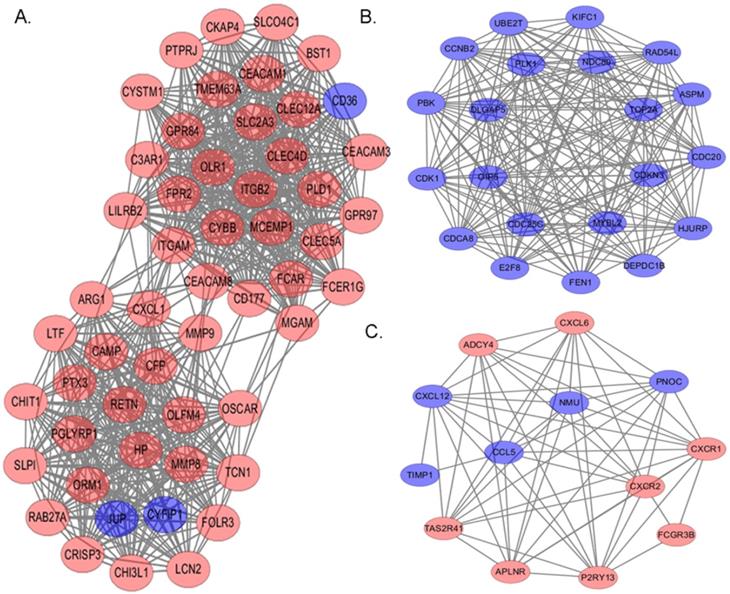 Identification Of Key Genes And Pathways In Myeloma Side Population
