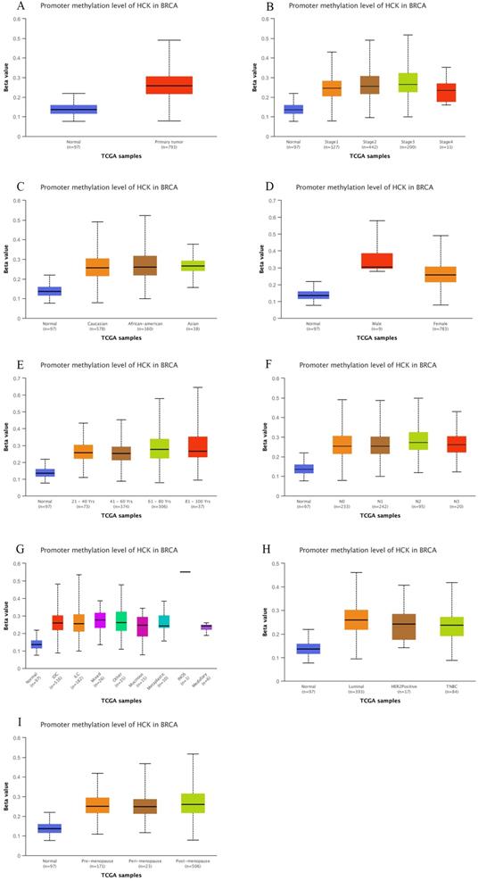 HCK can serve as novel prognostic biomarker and therapeutic target for ...