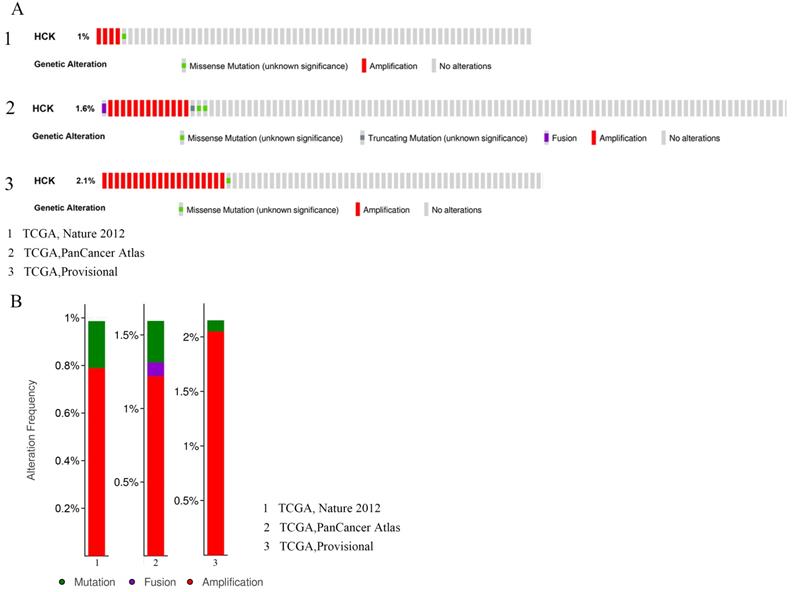 HCK can serve as novel prognostic biomarker and therapeutic target for ...