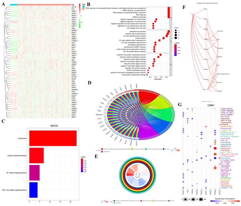 Tripartite-motif family genes associated with cancer stem cells affect ...