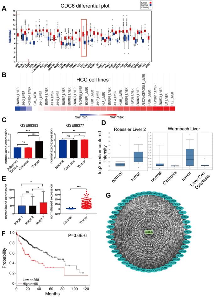 Interactome analysis of gene expression profiles identifies CDC6 as a ...