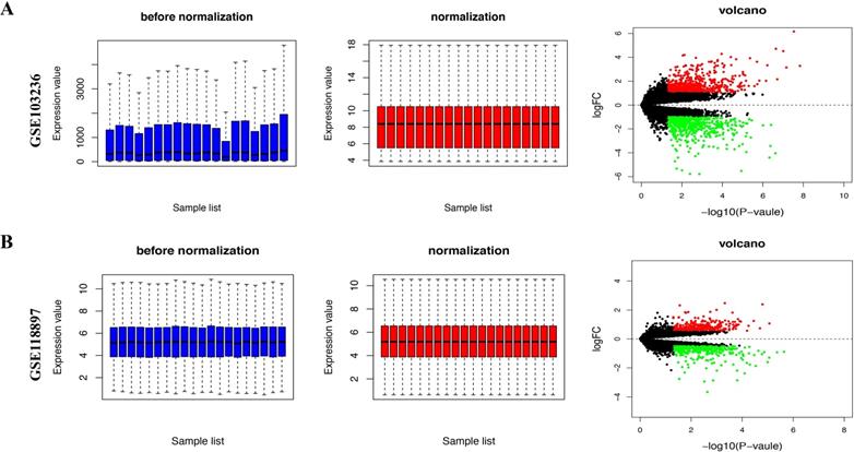 Integrated bioinformatics analysis for differentially expressed genes ...