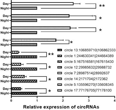 Identifying daily changes in circRNAs and circRNA-associated-ceRNA ...