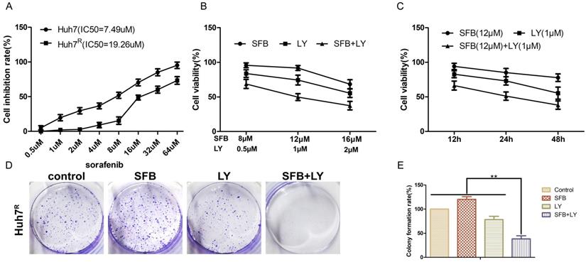 LY3214996 relieves acquired resistance to sorafenib in hepatocellular ...