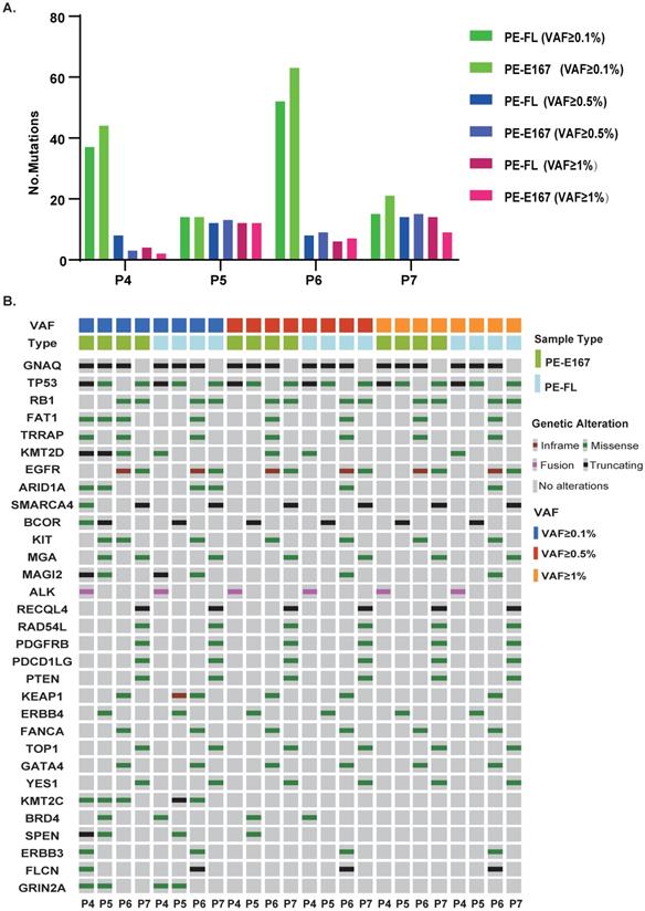 Distinct profile of cell-free DNA in malignant pleural effusion of non ...