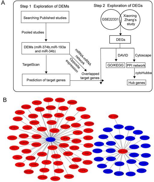 Screening, identification and interaction analysis of key MicroRNAs and ... Screening, identification and interaction analysis of key MicroRNAs and ...
