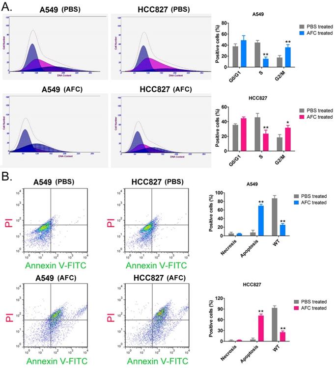 Ammonium Ferric Citrate induced Ferroptosis in Non-Small-Cell Lung ...