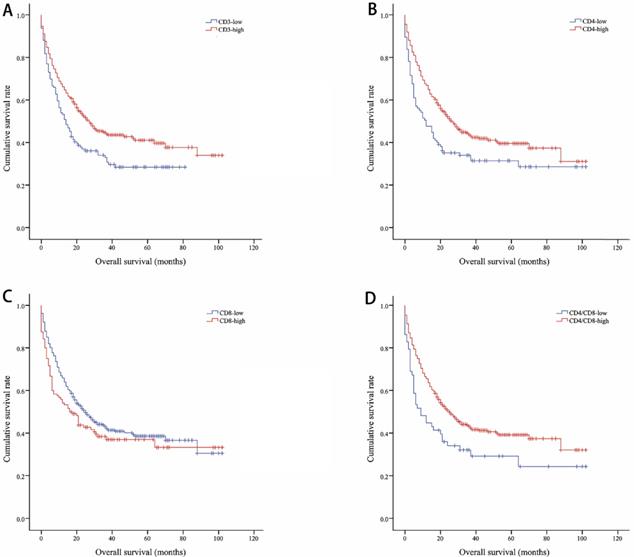 The Relationship between Lymphocyte Subsets and the Prognosis and ...