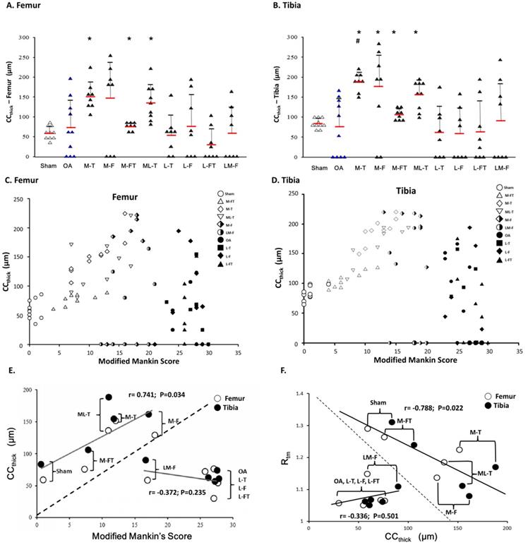 Pathological, Morphometric and Correlation Analysis of the Modified ...