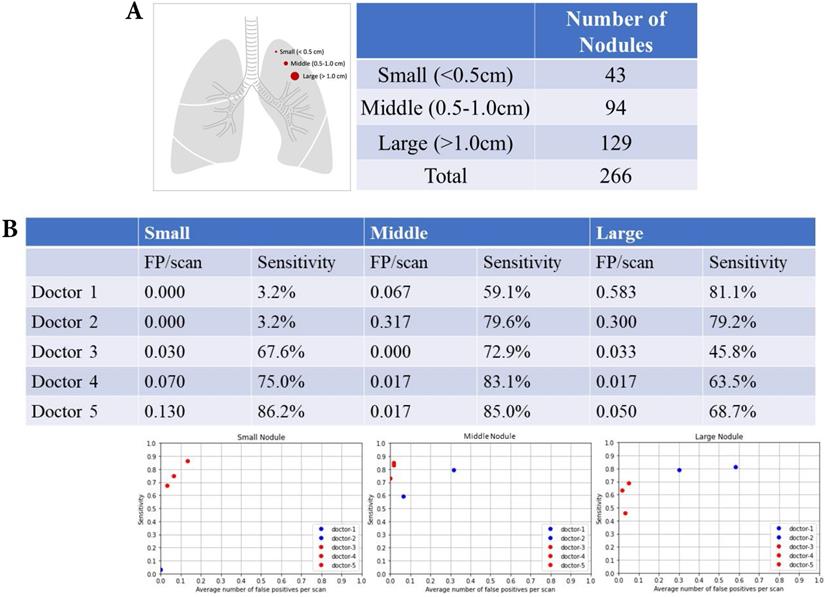 Lung Size Chart