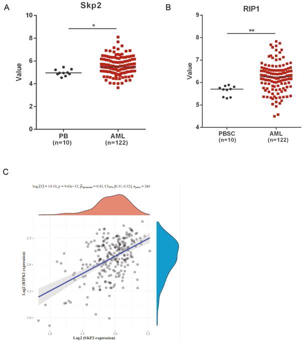 RIP1-dependent Apoptosis and Differentiation Regulated by Skp2 and Akt ...