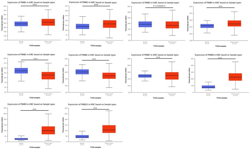 Bioinformatic Analysis Identifying PSMB 1/2/3/4/6/8/9/10 as Prognostic ...