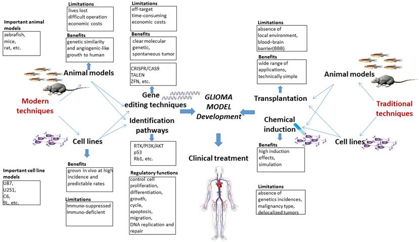 Current understanding of gliomagenesis: from model to mechanism