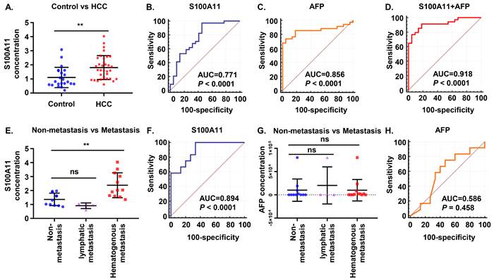 S100A11 Promotes Metastasis via AKT and ERK Signaling Pathways and Has ...
