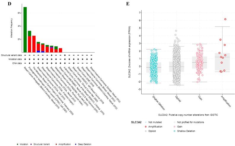 Integrated analysis of FKBP1A/SLC3A2 axis in everolimus inducing ...