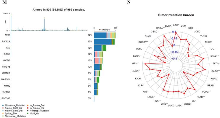 Integrated analysis of FKBP1A/SLC3A2 axis in everolimus inducing ...