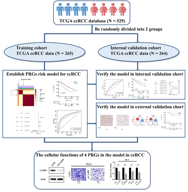 Volume 21, Issue 3 - ijms
